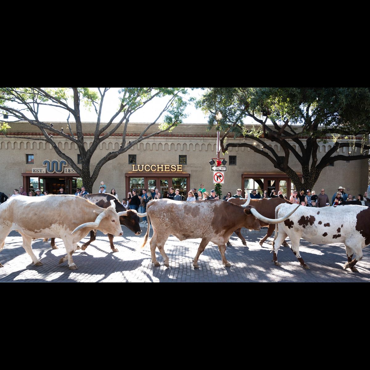 From trails to tomorrow: the legacy and evolution of the Fort Worth ...